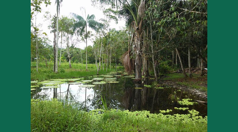 RESERVA NATURAL LA MANIGUA - Las Páginas Amarillas en Colombia.com 2024