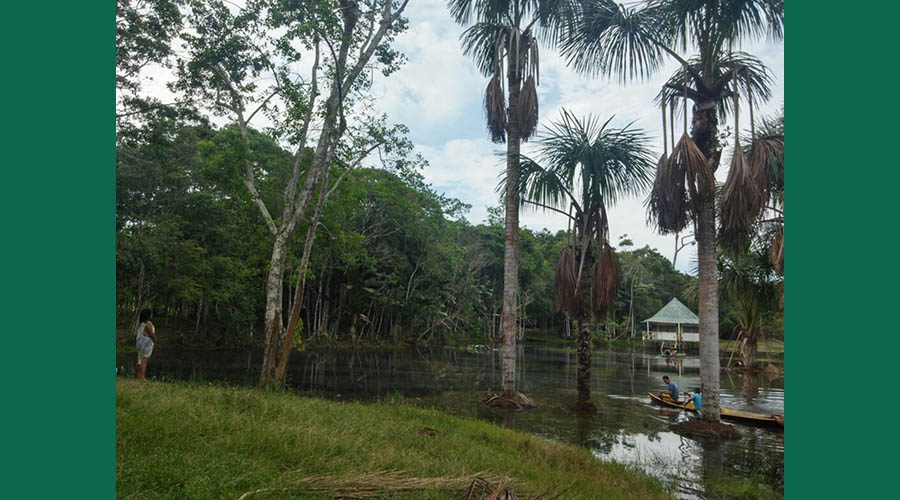 RESERVA NATURAL LA MANIGUA - Las Páginas Amarillas en Colombia.com 2024