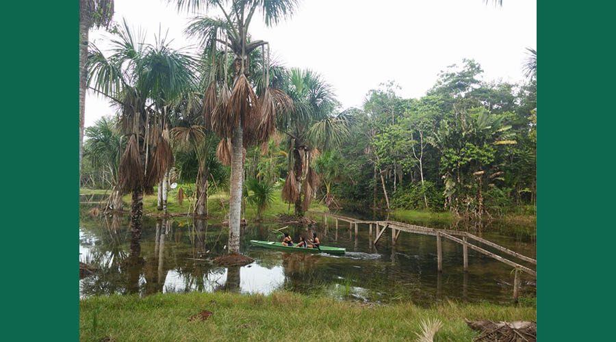 RESERVA NATURAL LA MANIGUA - Las Páginas Amarillas en Colombia.com 2024