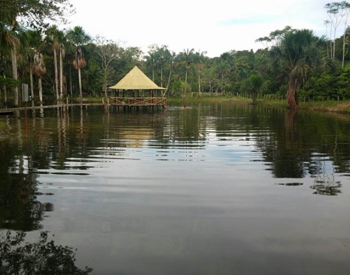 RESERVA NATURAL LA MANIGUA - Las Páginas Amarillas en Colombia.com 2025