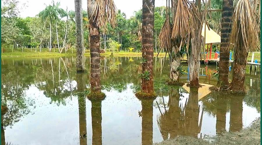 RESERVA NATURAL LA MANIGUA - Las Páginas Amarillas en Colombia.com 2024