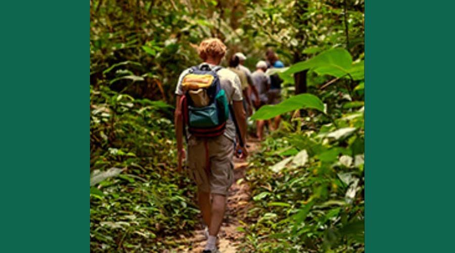 RESERVA NATURAL LA MANIGUA - Las Páginas Amarillas en Colombia.com 2024