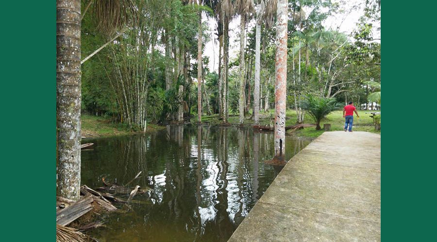 RESERVA NATURAL LA MANIGUA - Las Páginas Amarillas en Colombia.com 2024